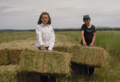 Hay at Horseshoe Bend Ranch